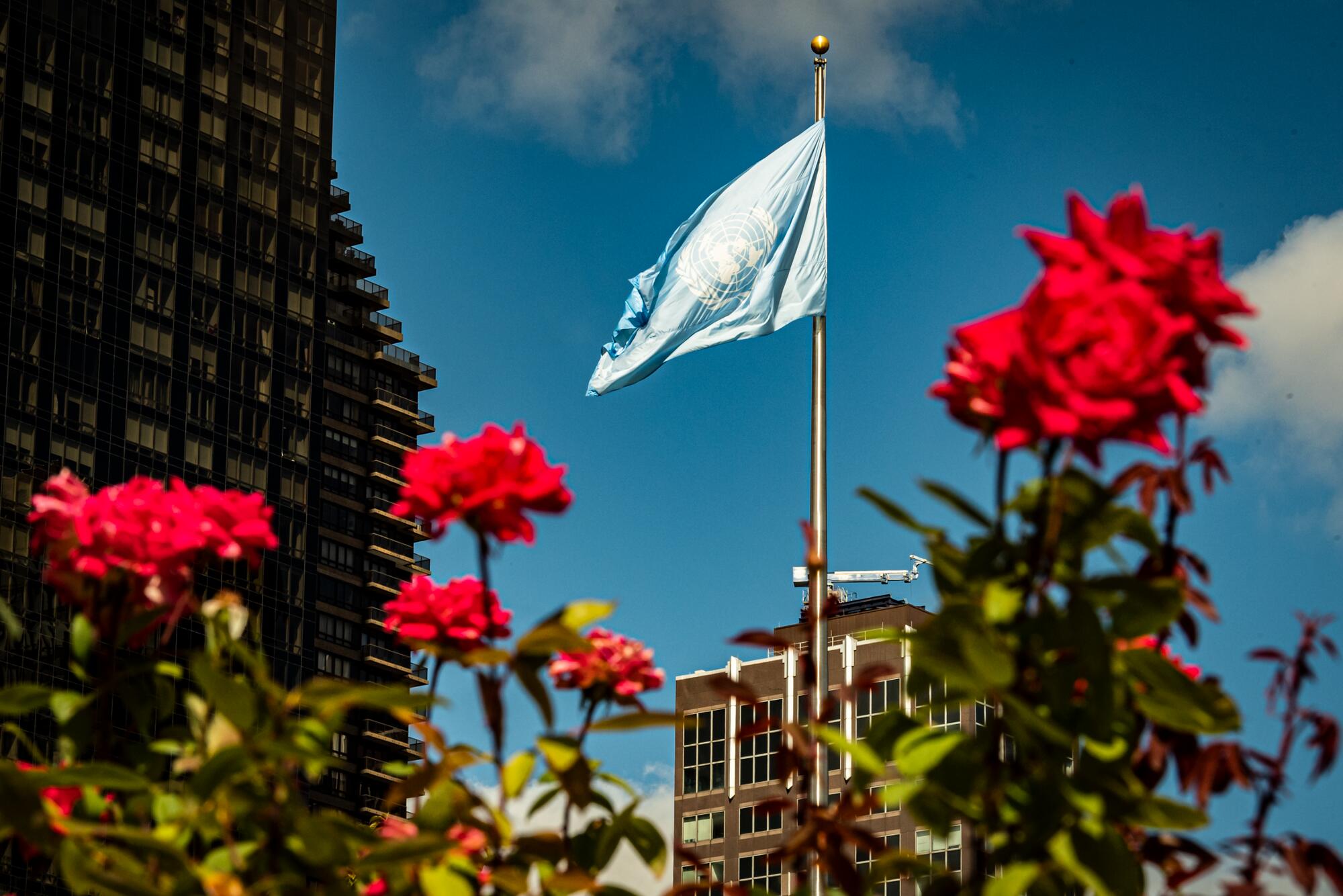 The 77th anniversary of the United Nations - EUDNE